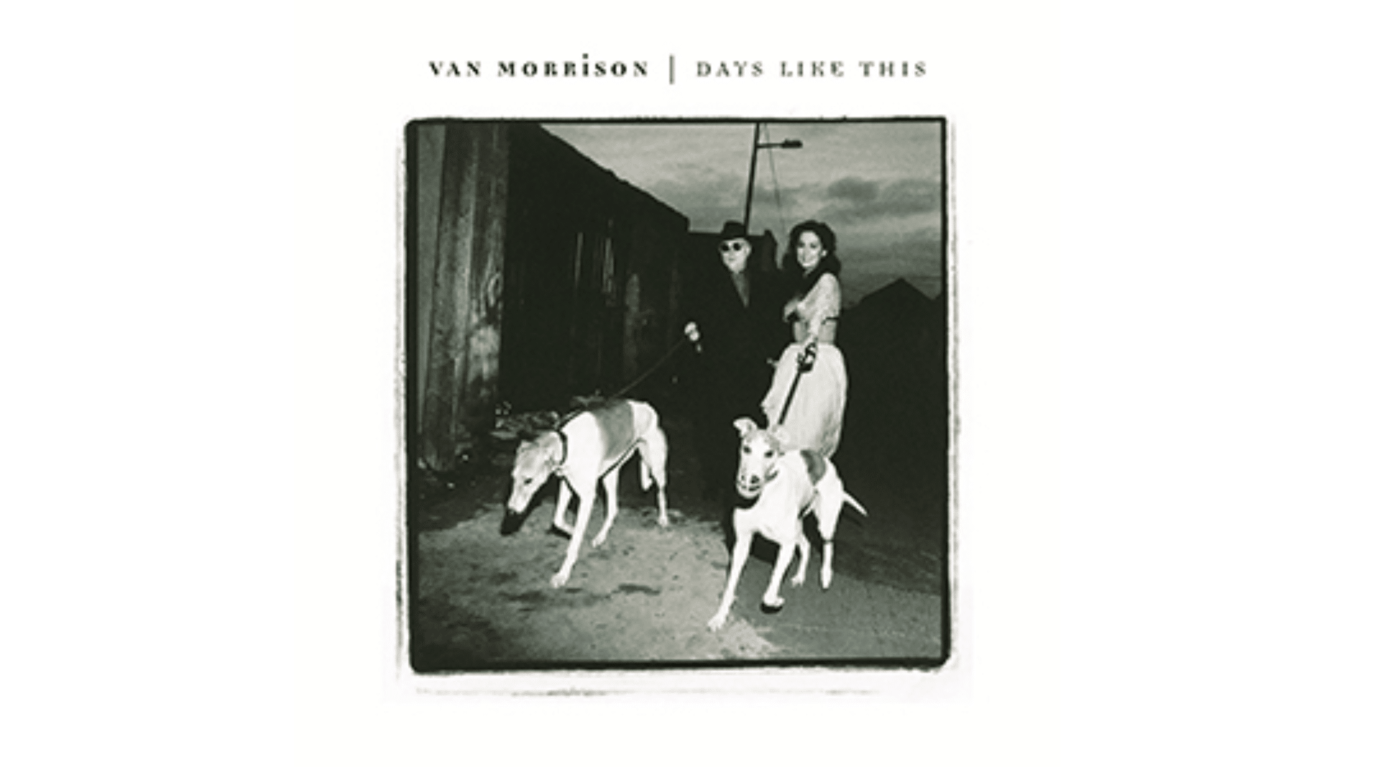 Days Like This Lyrics & Meaning by Van Morrison - GigWise