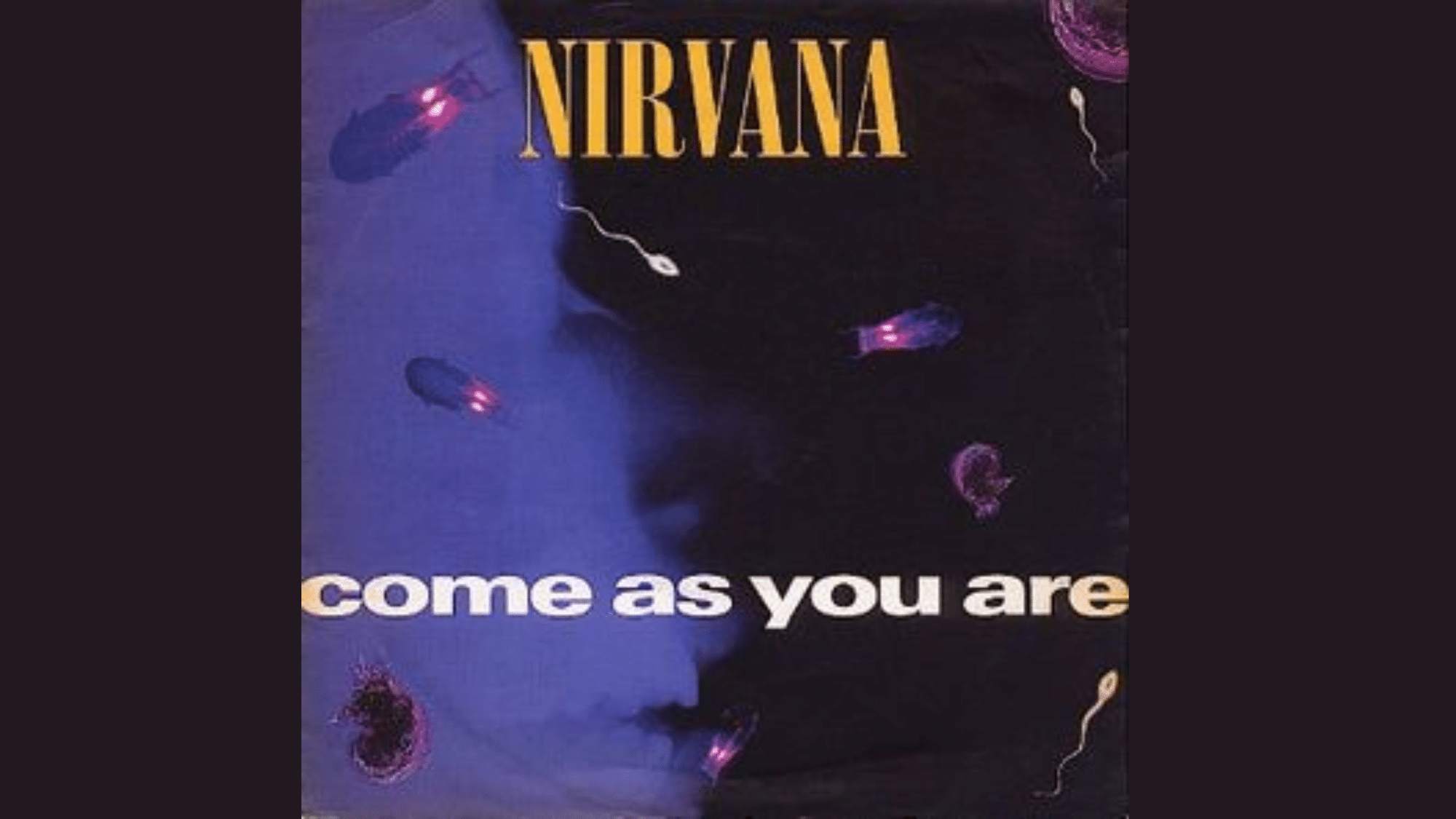 Soft Rock Come As You Are Lyrics by Nirvana - GigWise