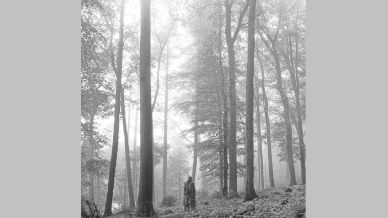 The Last Great American Dynasty Lyrics by Taylor Swift - GigWise