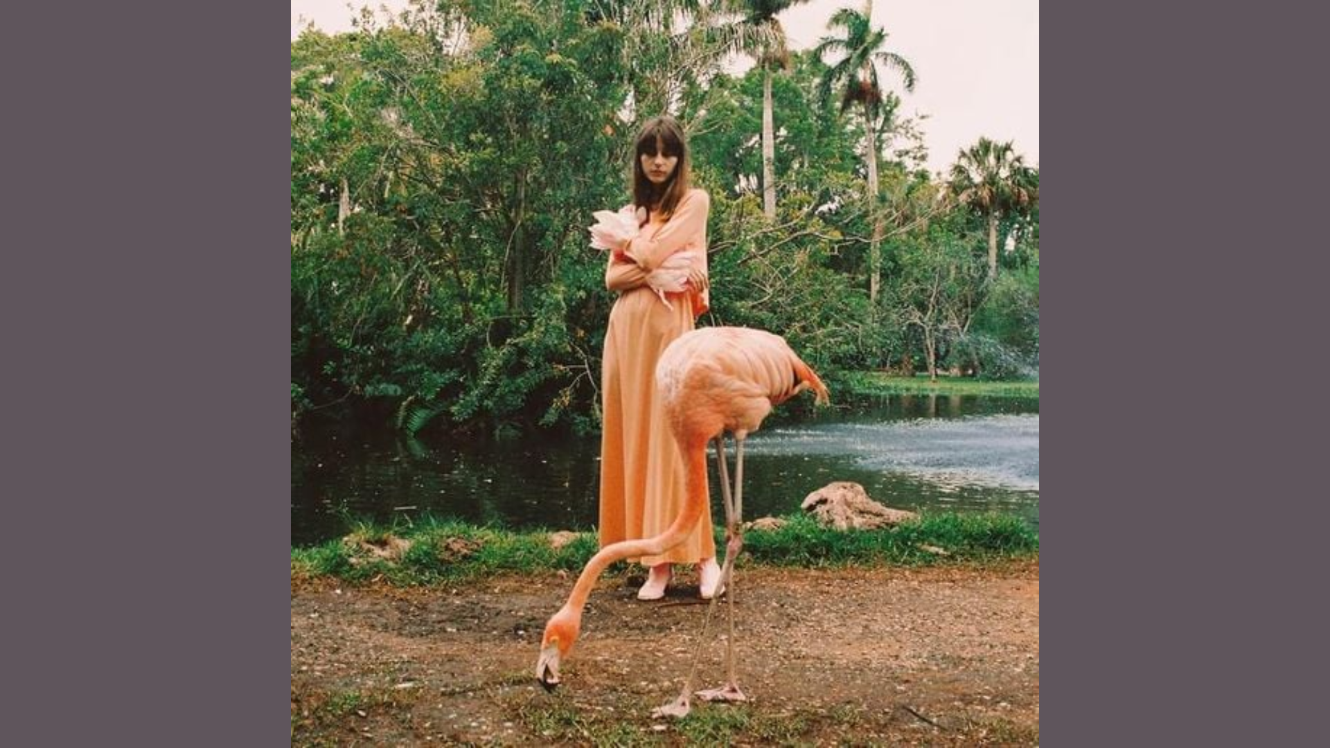 Dreamy Song Kingston Lyrics by Faye Webster - GigWise