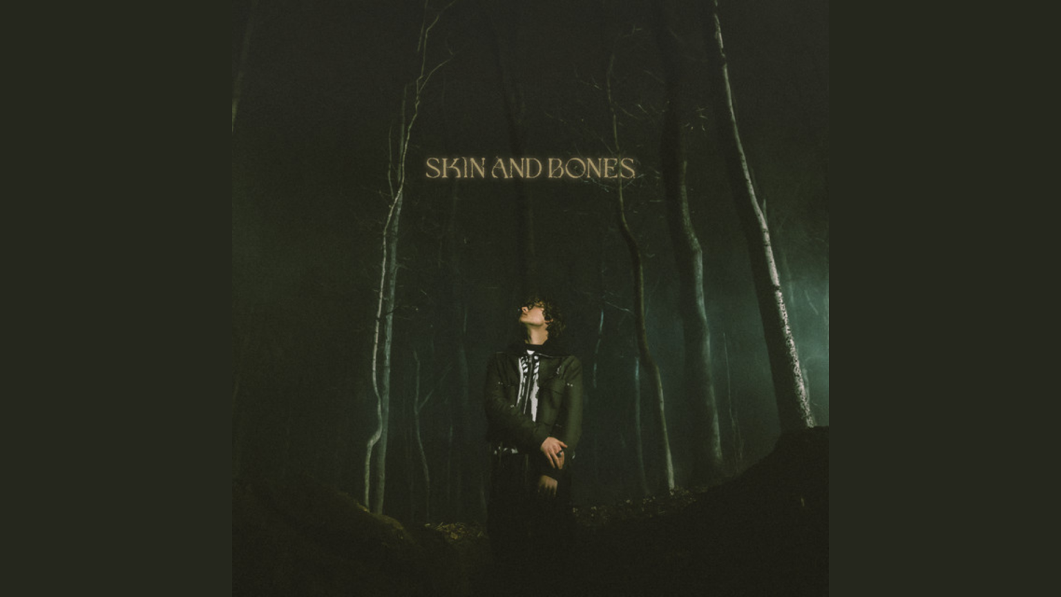 Skin and Bones Lyrics by David Kushner - GigWise